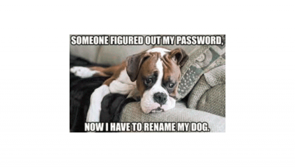 15 funny cyber security memes that might make you laugh