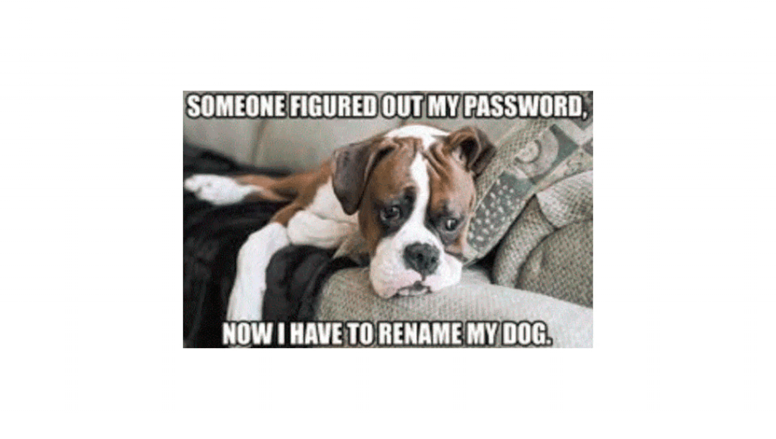 15 funny cyber security memes that might make you laugh